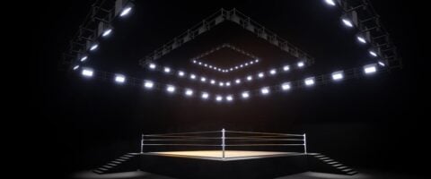 Indoor Sports Arena Lighting Solutions | TCP Lighting