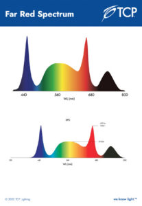Lighting Resource Center - Industrial & Commerical | TCP Lighting
